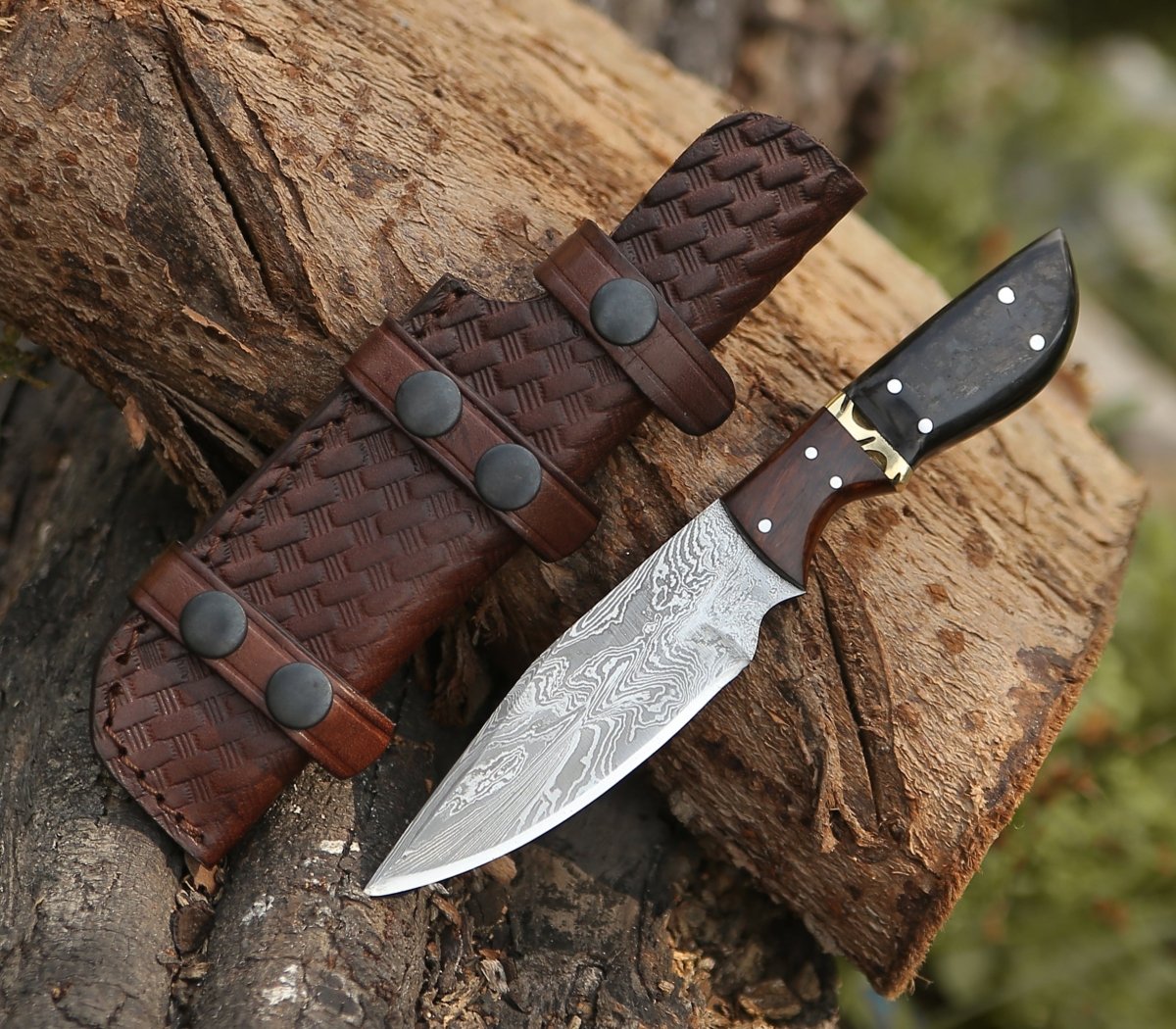 Trailseeker Every Day Carry Knife with Ram Horn & Rosewood Handle ...