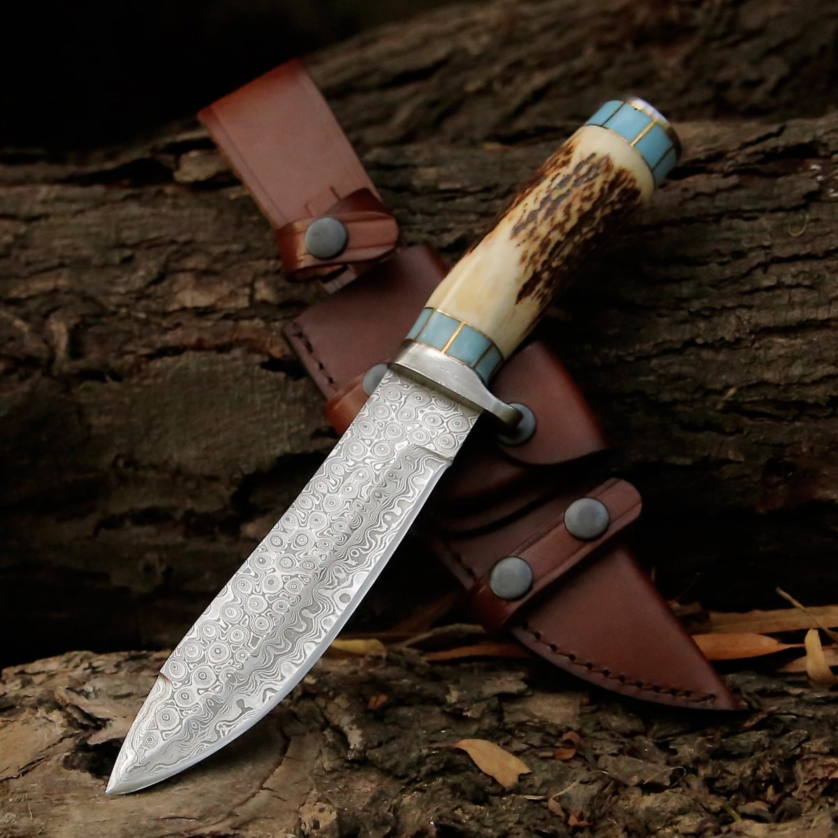 Viral Bull Nose Hunting Knife with Antler & Turquoise Handle – RackUp+Go